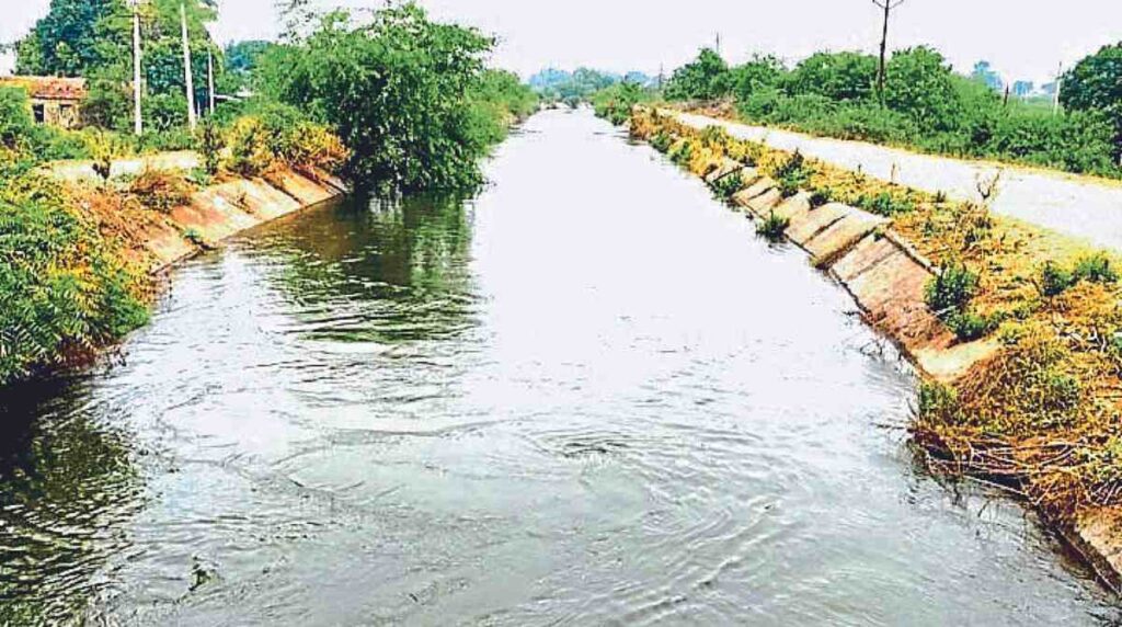 हंगामी पिकांसाठी 31 ऑगस्टपर्यंत पाणी अर्ज पाठविण्याचे आवाहन - JALGAON ...